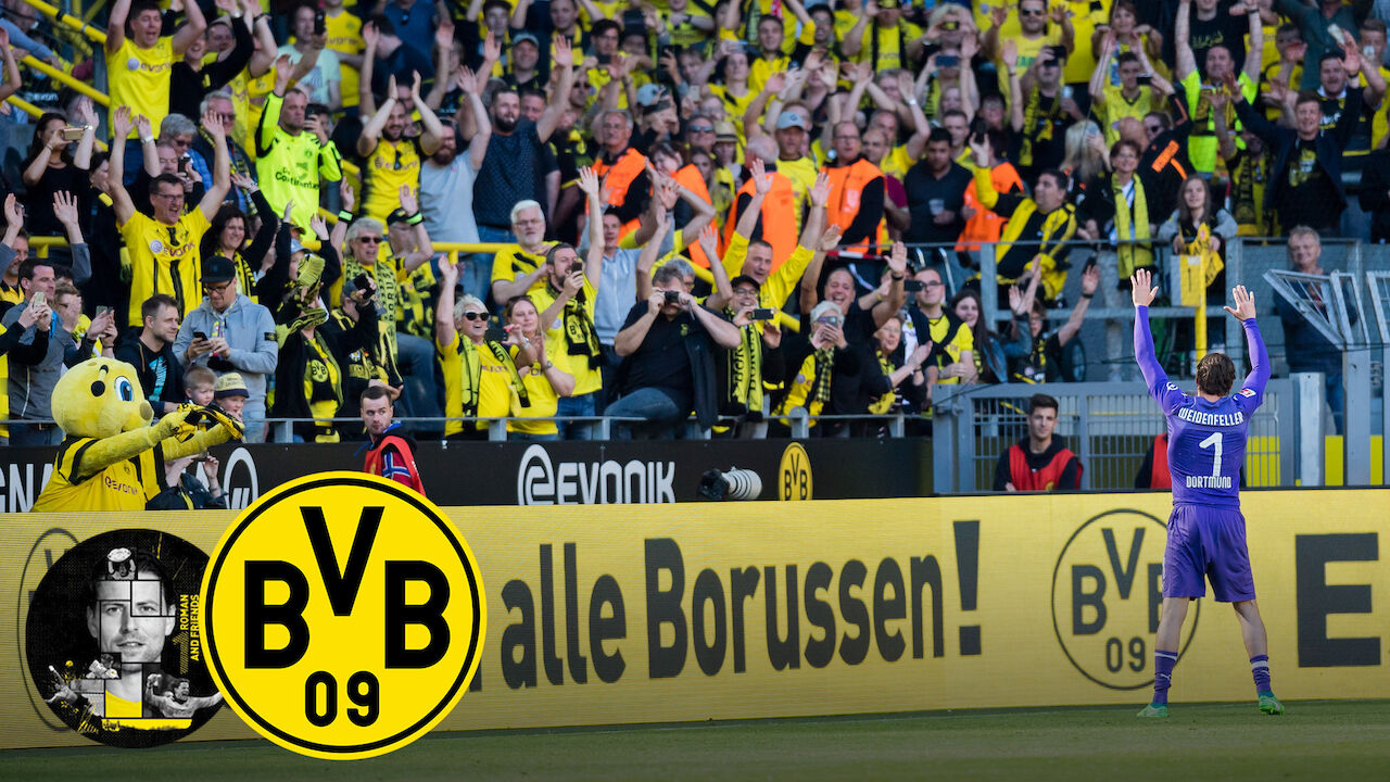 BVB-TV | Roman and Friends - BVB Allstars