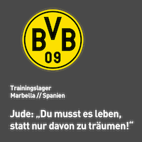 BVB-TV | Home