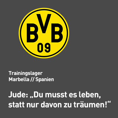 BVB-TV | Home