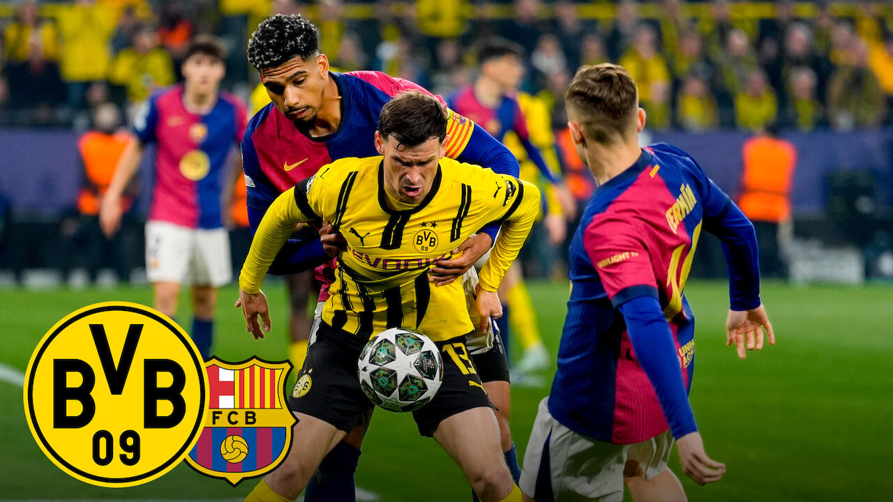 BVB-TV | Quarterfinals - 2